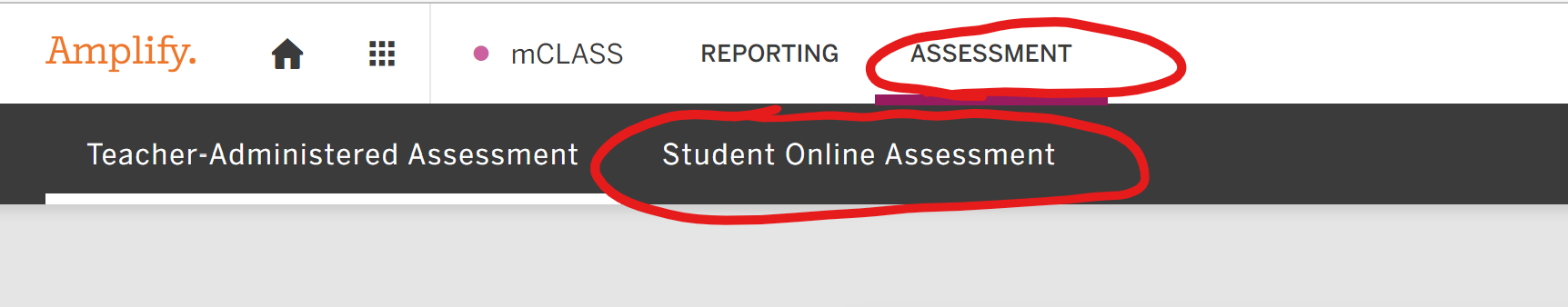 Amplify mClass Maze Assessment Student and Teacher Login Directions ...